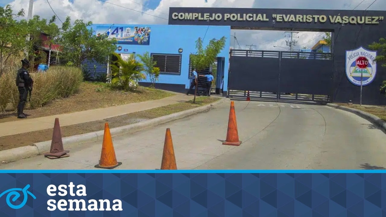 Maynor Curtis abogado defensor: Hay un patrón determinado para los ...