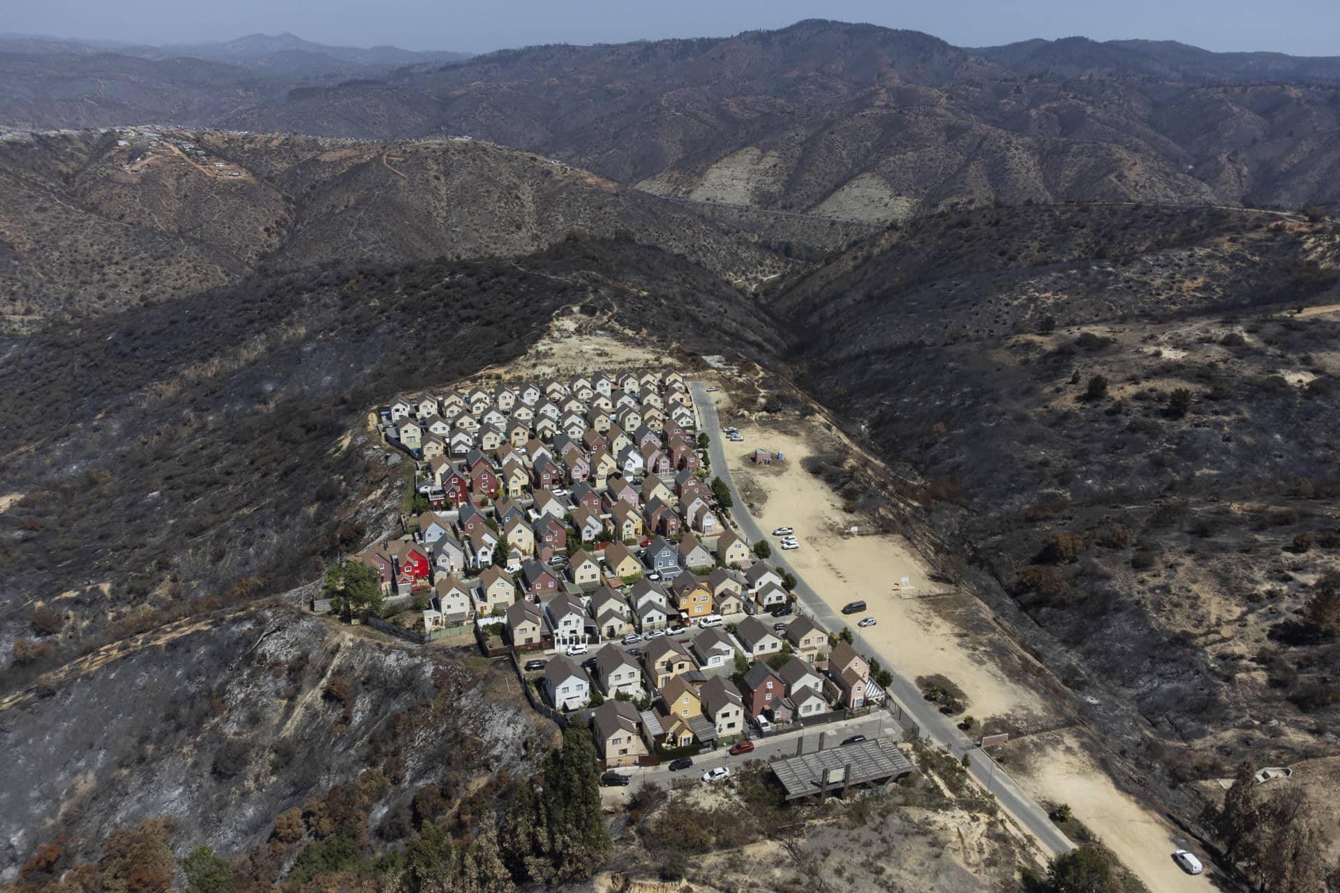 El "milagro" de Botania: cómo vecinos salvaron su barrio del incendio ...